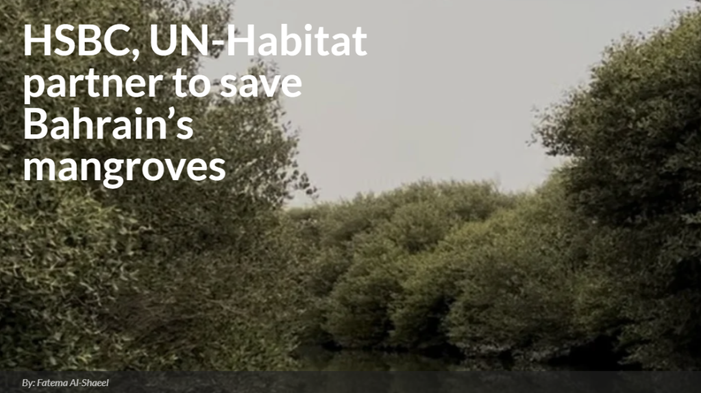 United Nations in Bahrain